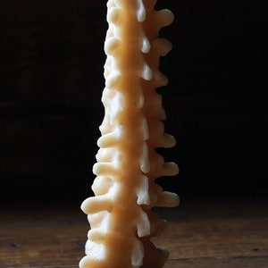 Spine Candle Halloween Candles Creepy Candles Halloween Decor Fall ...