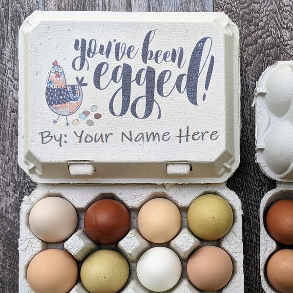 Funny Egg Cartons - Etsy