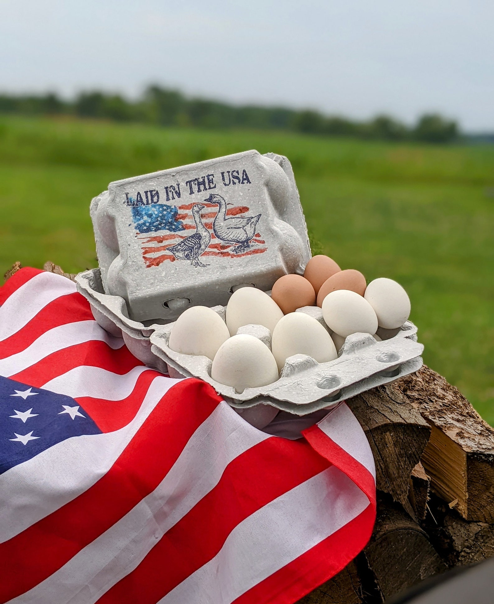 Goose Egg Cartons Color Printed Vintage Themed set of 5 - Etsy