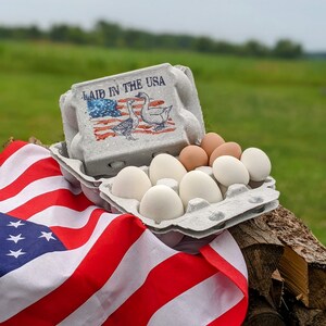 Goose Egg Cartons Color Printed Vintage Themed (set of 5 Cartons) Holds ...