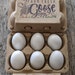 Goose Egg Cartons Color Printed Vintage Themed set of 5 Cartons Holds 6 ...