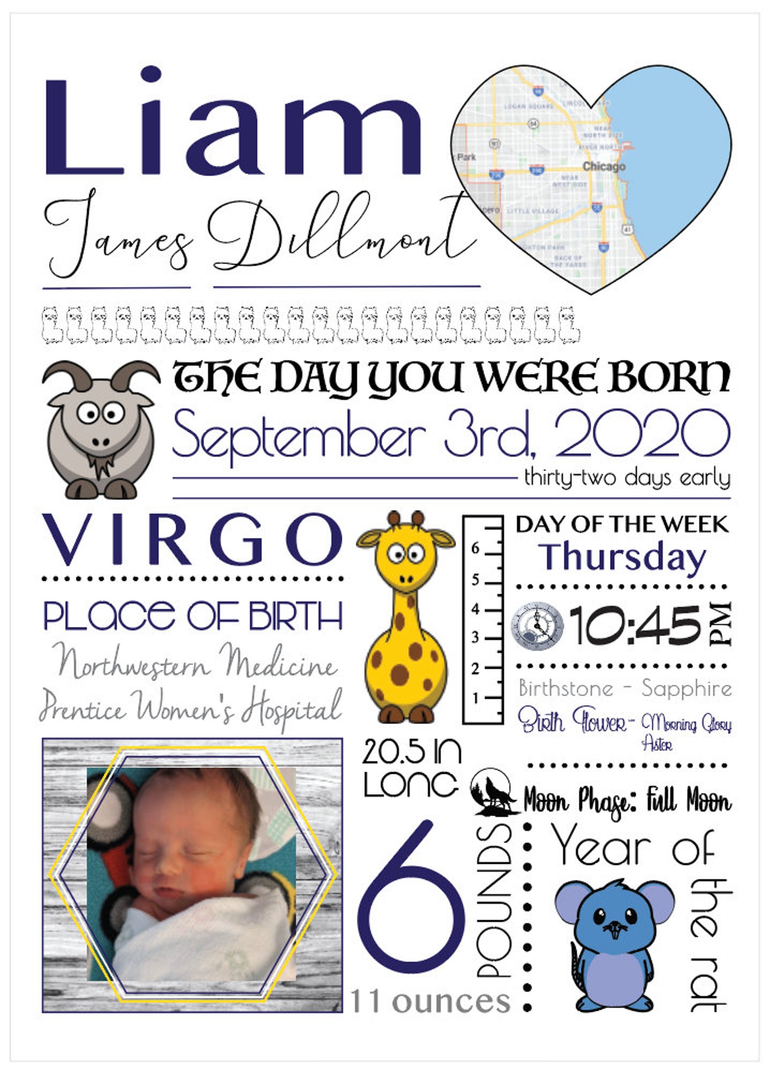 Personalized Newborn Baby Birth Information Sign With Name, Birth ...