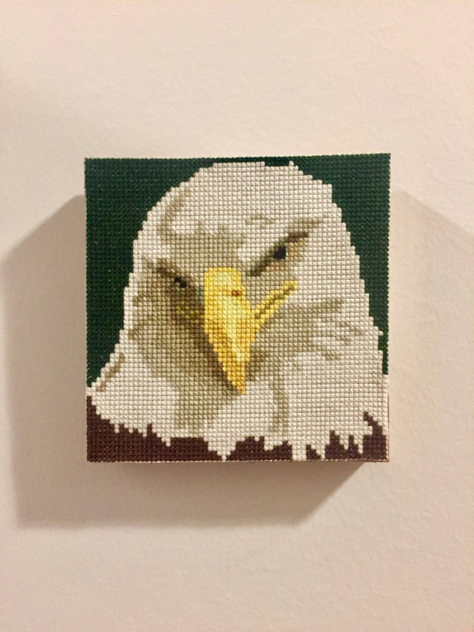 Bald Eagle Cross Stitch Pattern - Etsy
