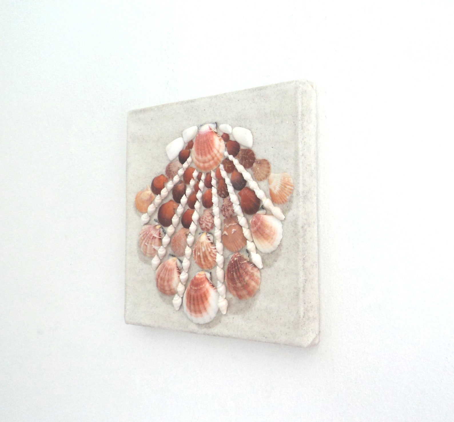 Seashell in Seashell Mosaic on White Sand 3D Seashell Wall | Etsy