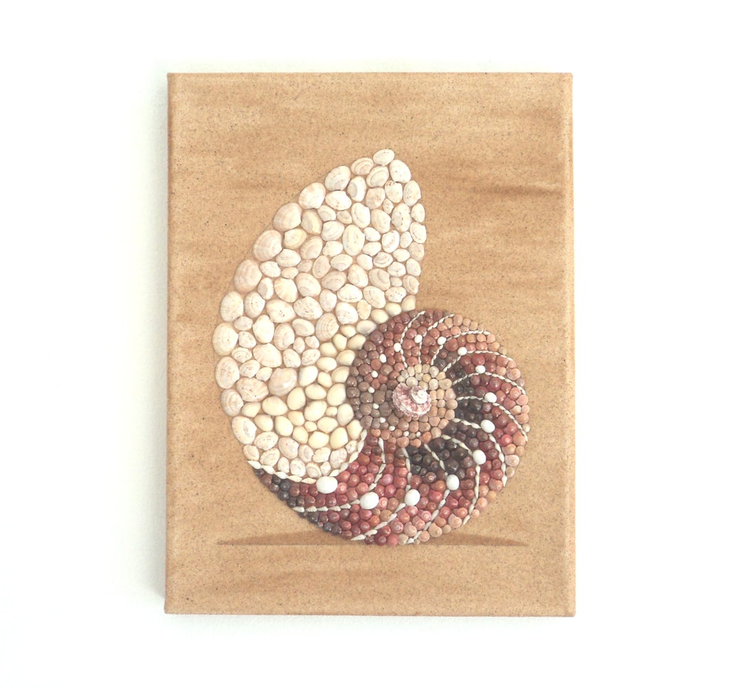Nautilus Seashell in Seashell Mosaic & Sand Wall Art, Nautilus 3D ...