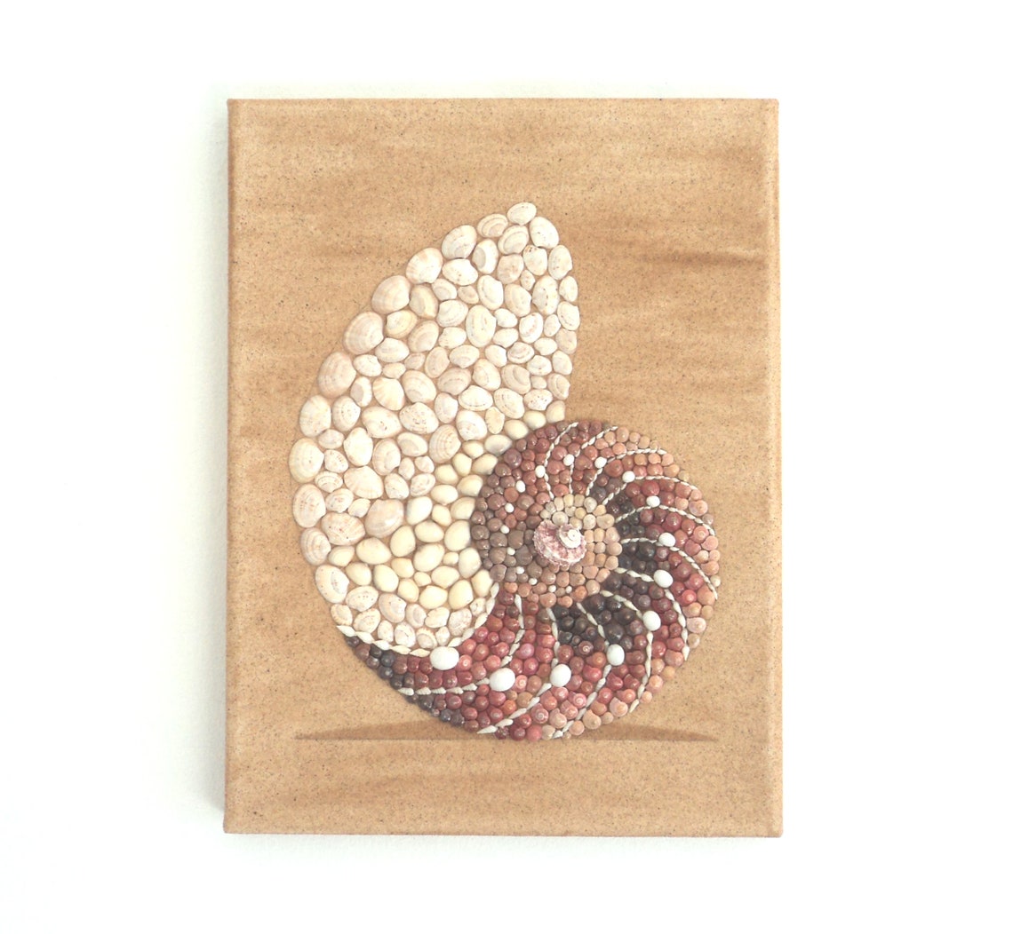 Nautilus Seashell in Seashell Mosaic & Sand Wall Art, Nautilus 3D ...