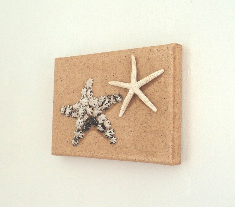 Starfish in Seashell Mosaic on Sand Wall Art, 3D Starfish Decor, Sea ...