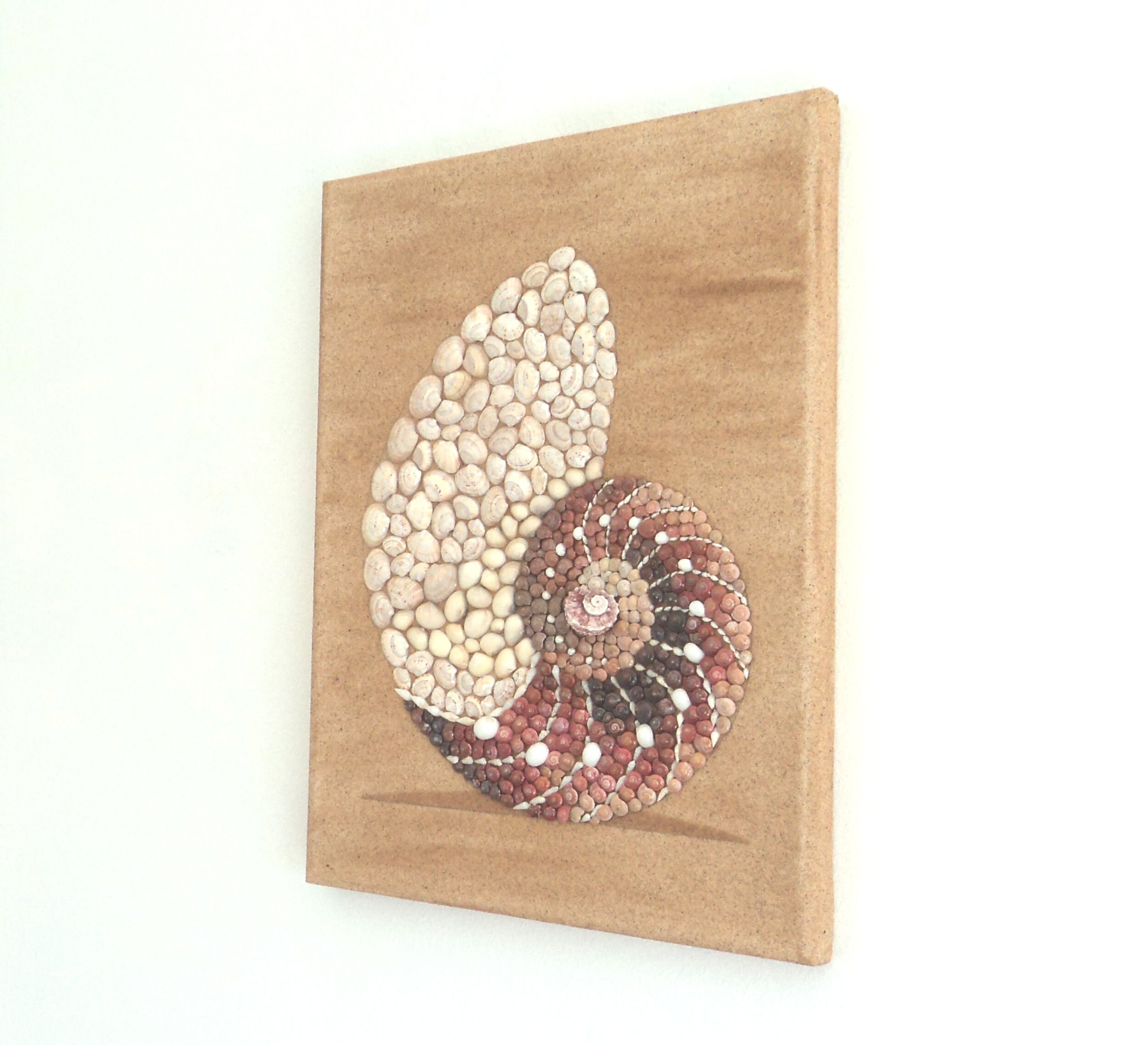 Nautilus Seashell in Seashell Mosaic & Sand Wall Art, Nautilus 3D ...