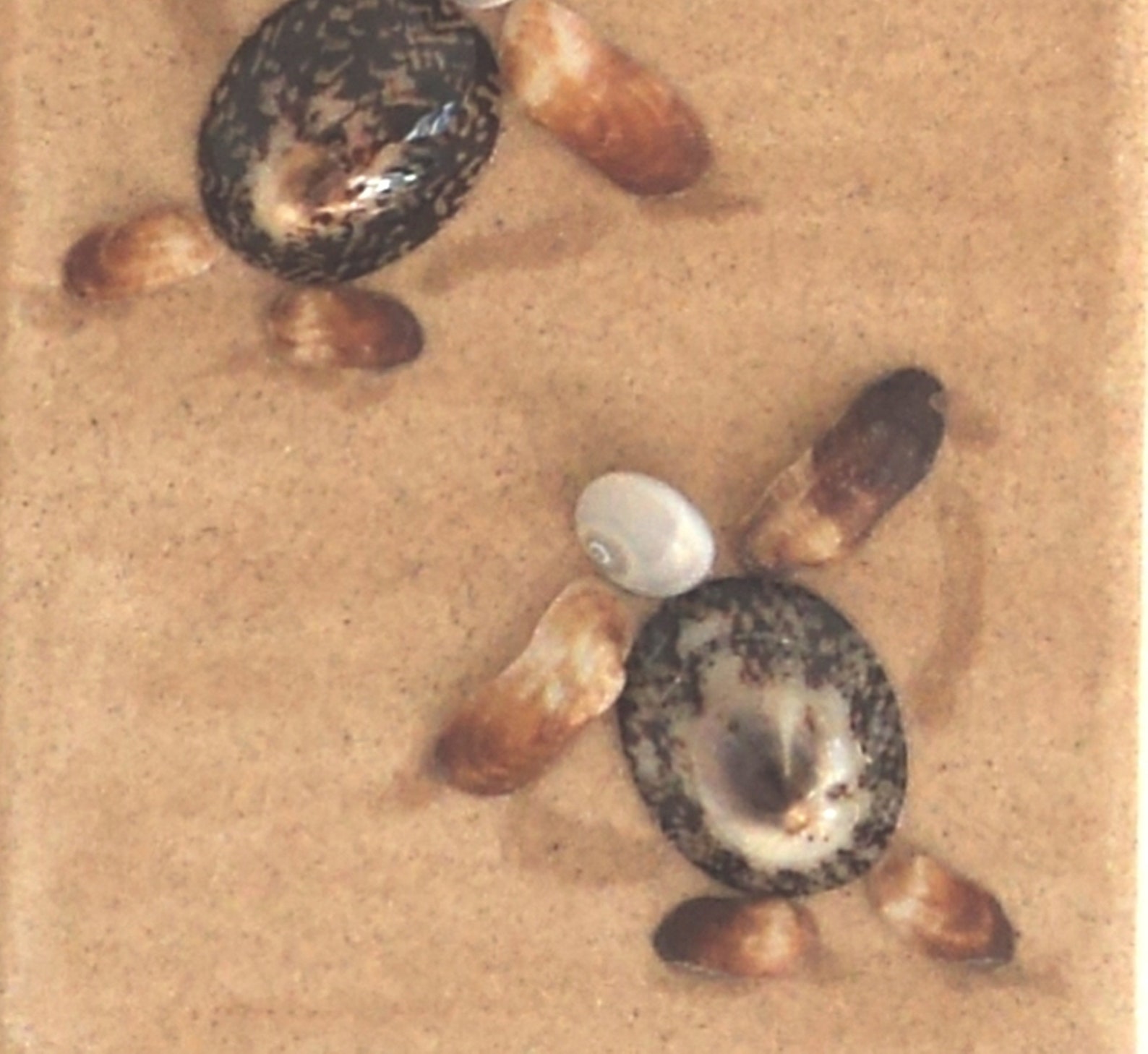 Baby Turtles in Seashell Mosaic on Sand 3D Wall Art, Turtles Pebble Art ...