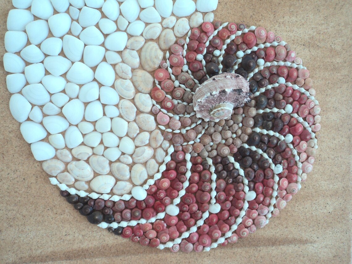 Nautilus Seashell in Seashell Mosaic & Sand Wall Art Nautilus - Etsy