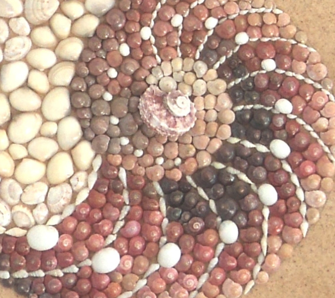 Nautilus Seashell in Seashell Mosaic & Sand Wall Art, Nautilus 3D ...