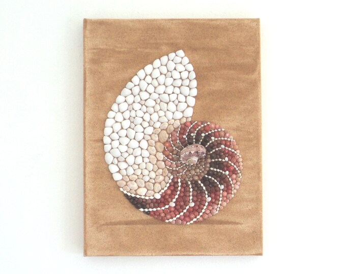 Nautilus Seashell in Seashell Mosaic & Sand Wall Art, Nautilus 3D ...