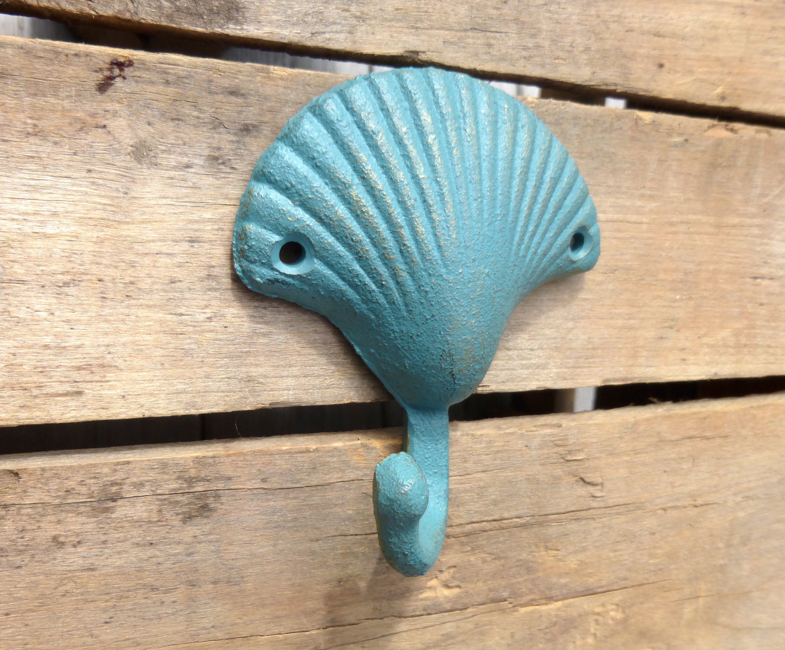 Seashell Wall Hook