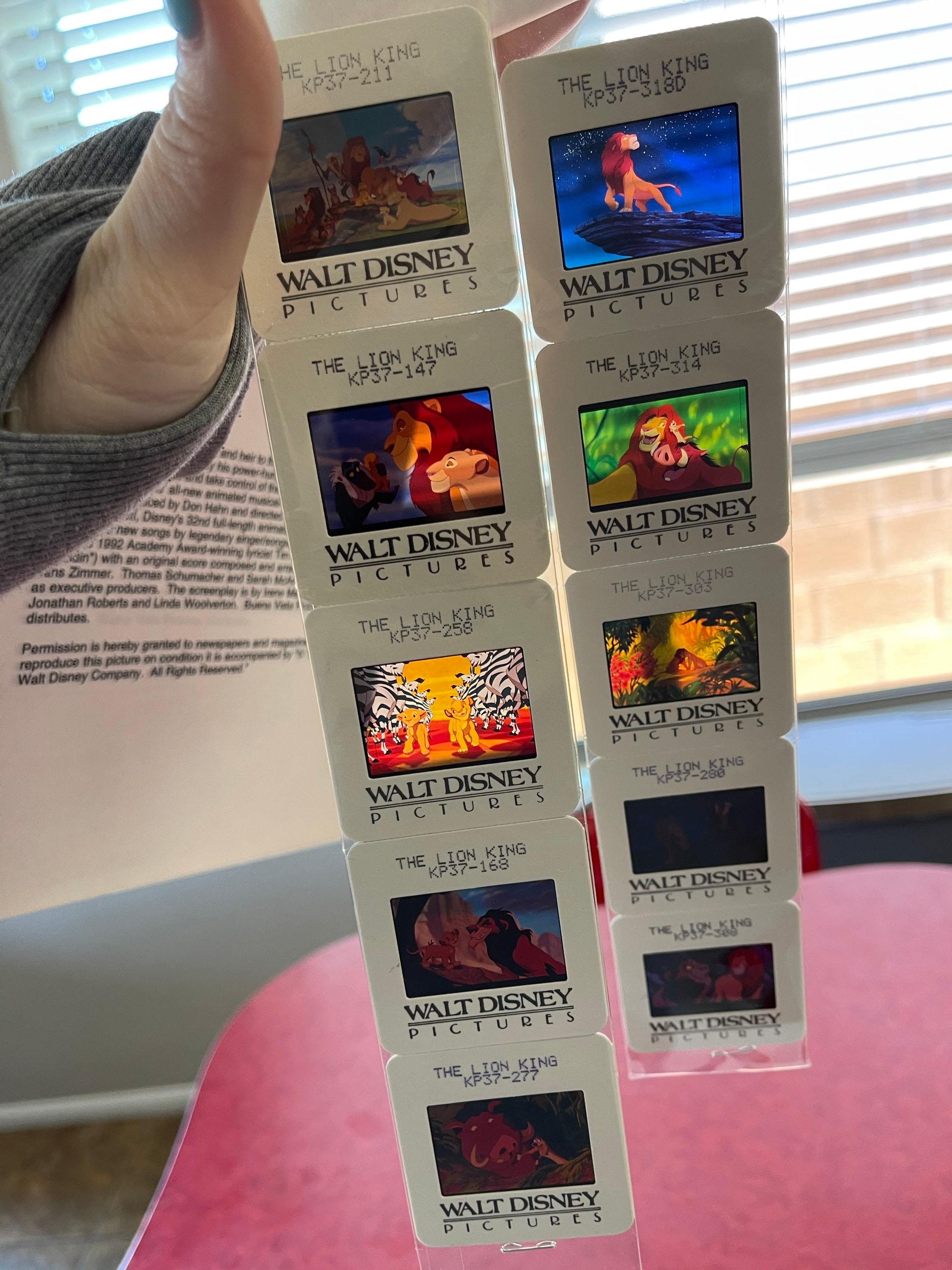 Walt Disneys the Lion King Film Movie Press Kit Media Folder - Etsy