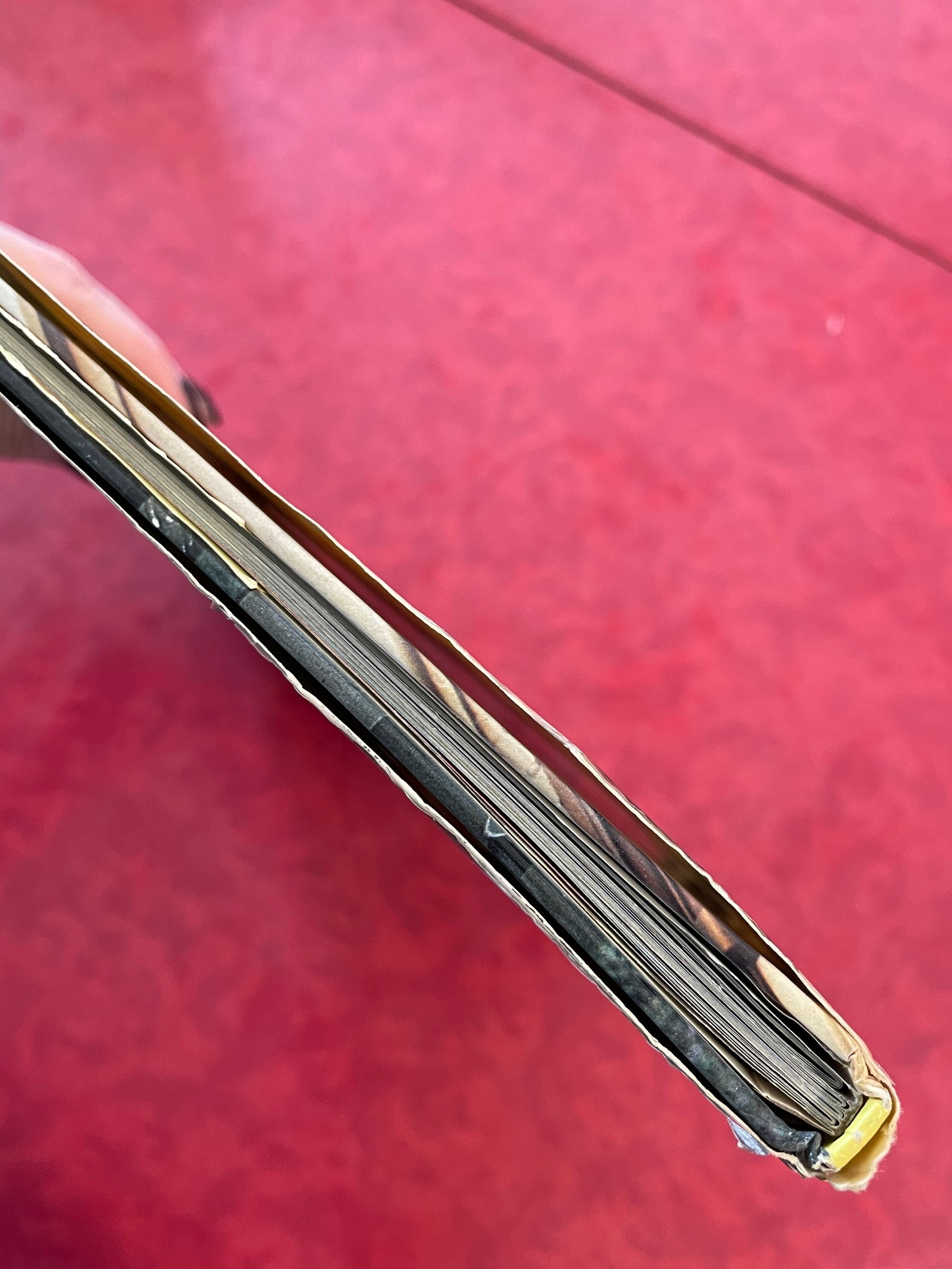 1985 Walt Disneys Disneyland Book Color Photos, Photographs, Printed in ...