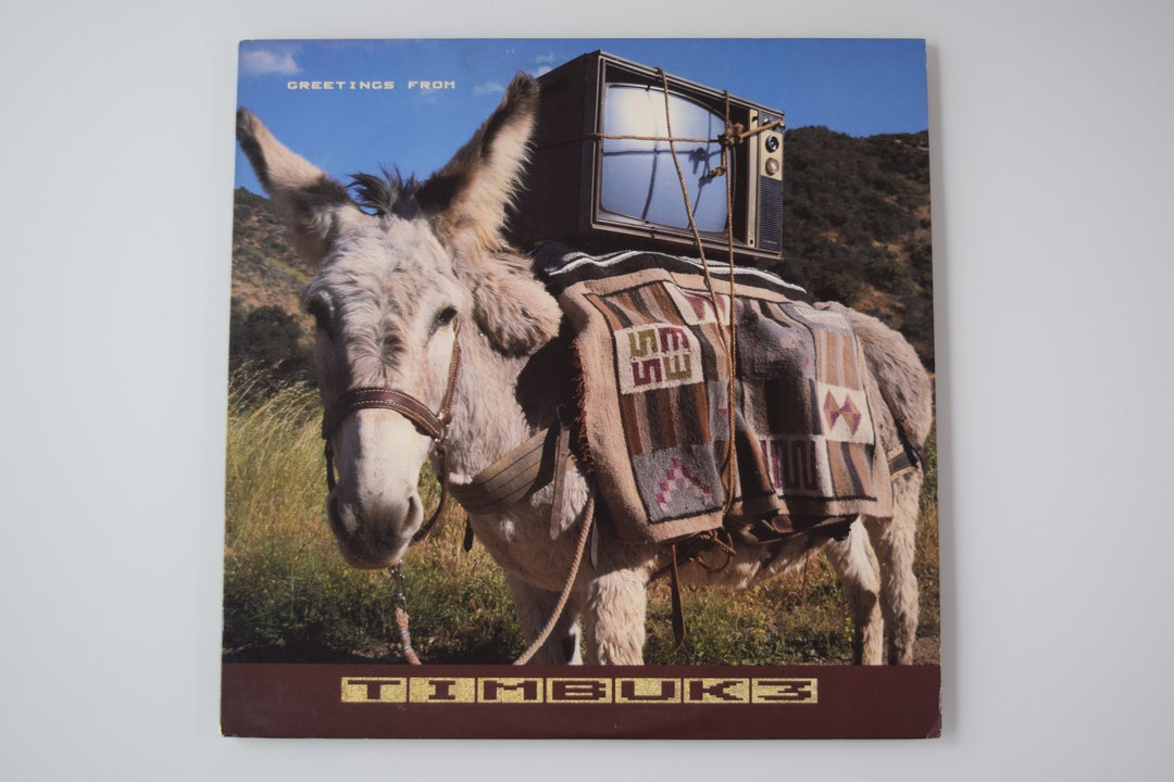 Timbuk 3, Vintage Vinyl LP, Greetings From Timbuk 3, Alternative ...
