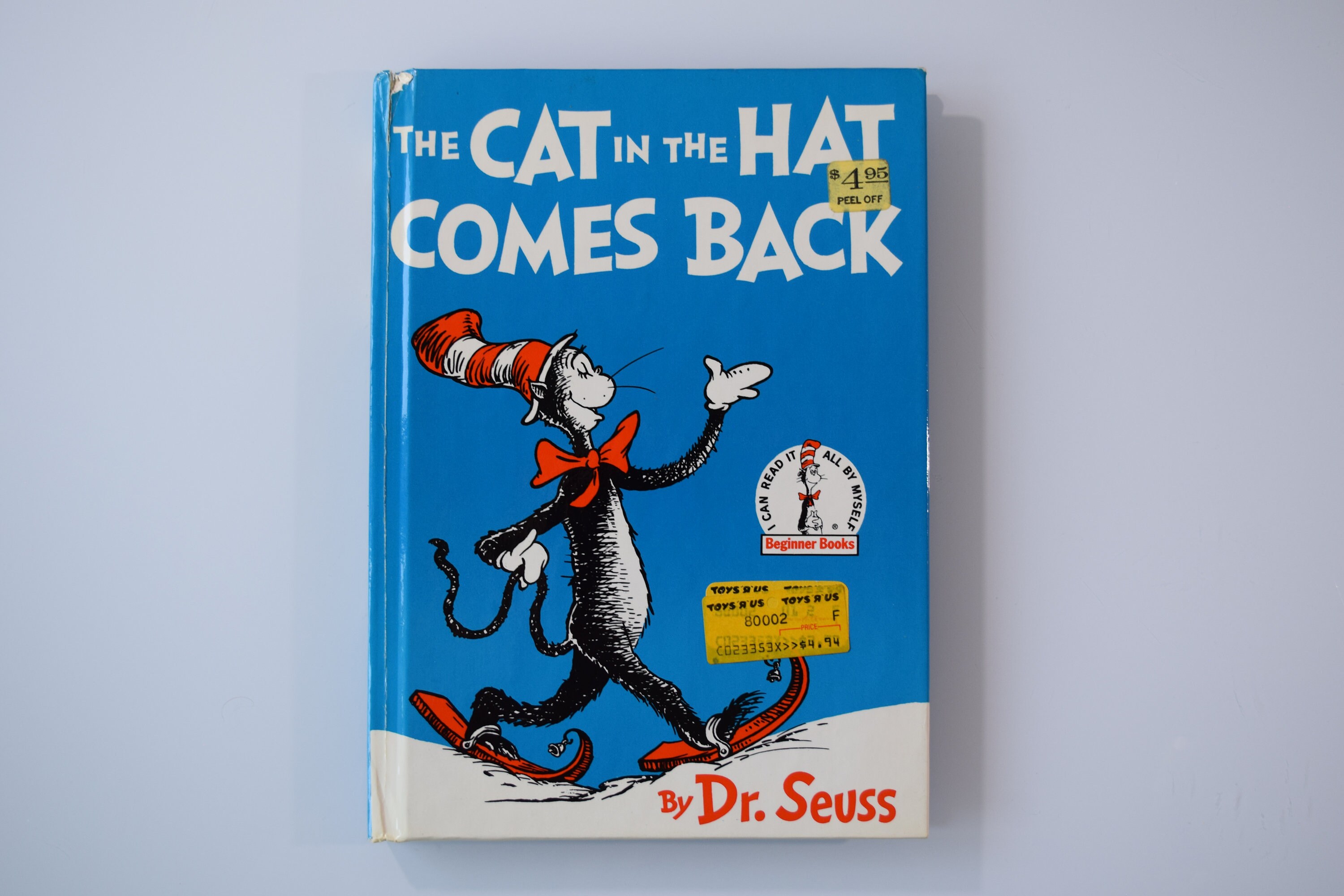 Cat In The Hat Book Sally