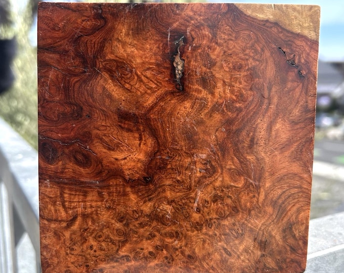 Amboyna Burl Wood Block: Exotic Lumber for Knife Scales & Turning - Etsy