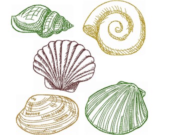 Mini Sea Shells - Etsy