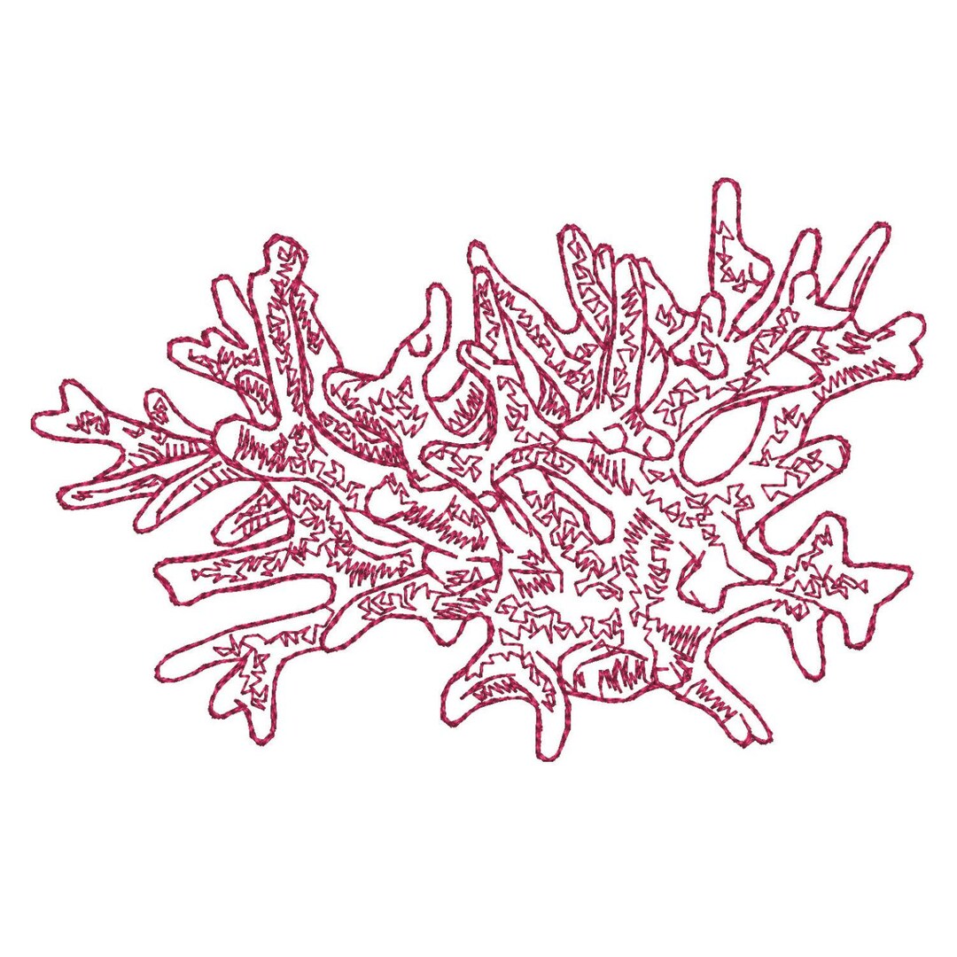 Coral Embroidery Design: Sea Life Pattern (instant Download) - Etsy