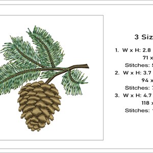 Pine Cone Embroidery Design: Forest Nature Pattern (machine Embroidery ...