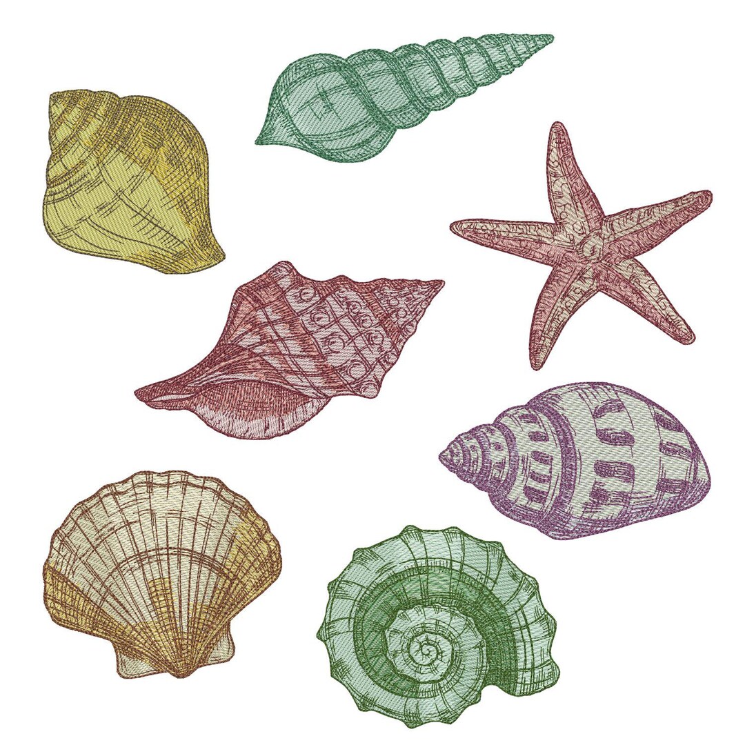 Sea Shells Embroidery Design: Machine Embroidery File Bundle (instant ...