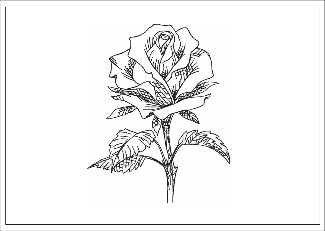 Rose Sketch Embroidery, Rose Art Embroidery, Rose Embroidery File, 4 ...