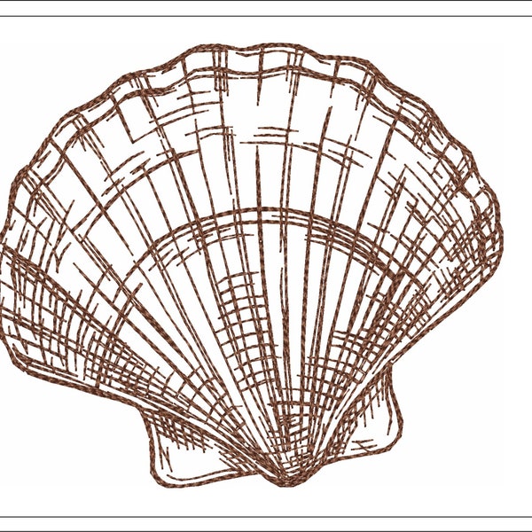 Sea Shells Machine Embroidery - Etsy