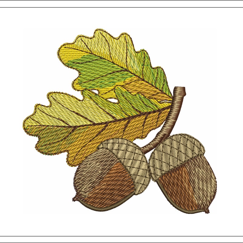 Acorn Embroidery - Etsy