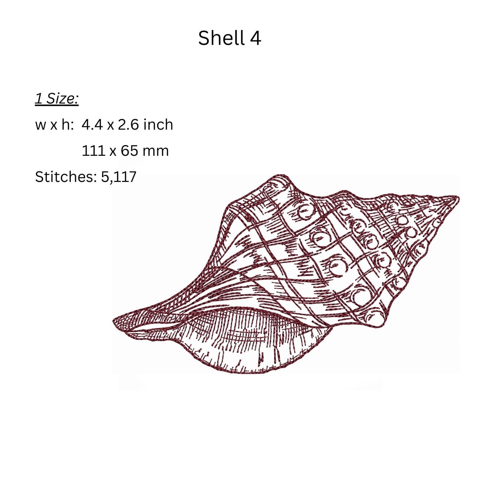Sea Shells Embroidery Design: Sketch Collection (instant Download) - Etsy