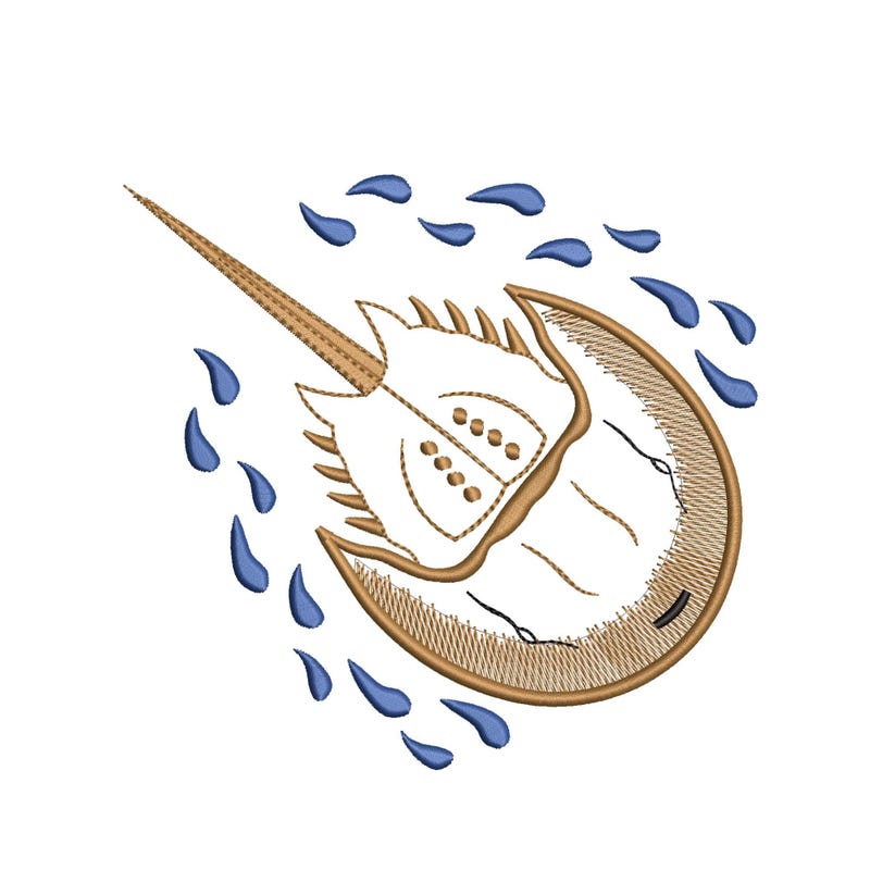 Horseshoe Crab - Etsy