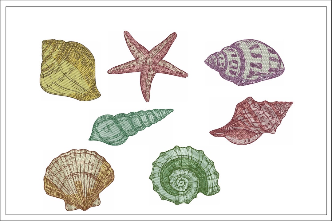 Shells Embroidery Designs, Sea Shells Embroidery File, Colorful Shell ...