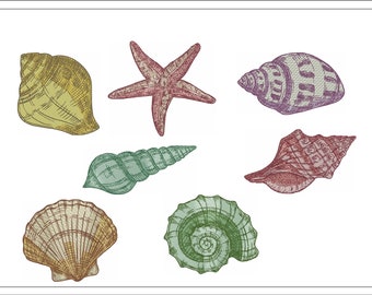 Sea Shells Machine Embroidery Design - Etsy