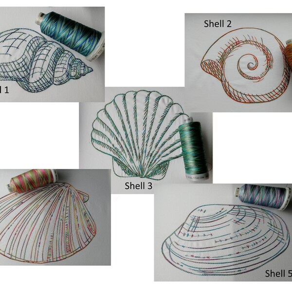 Sea Shells Machine Embroidery - Etsy
