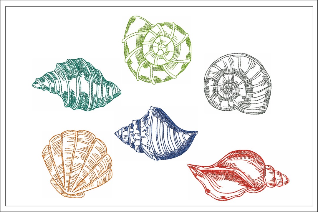 Shells Sketch Embroidery, Sea Shells, Sea Embroidery, Machine ...