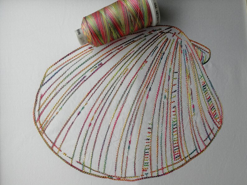 5 Shells Sea Shells Sea Embroidery Shell Collection Shell - Etsy