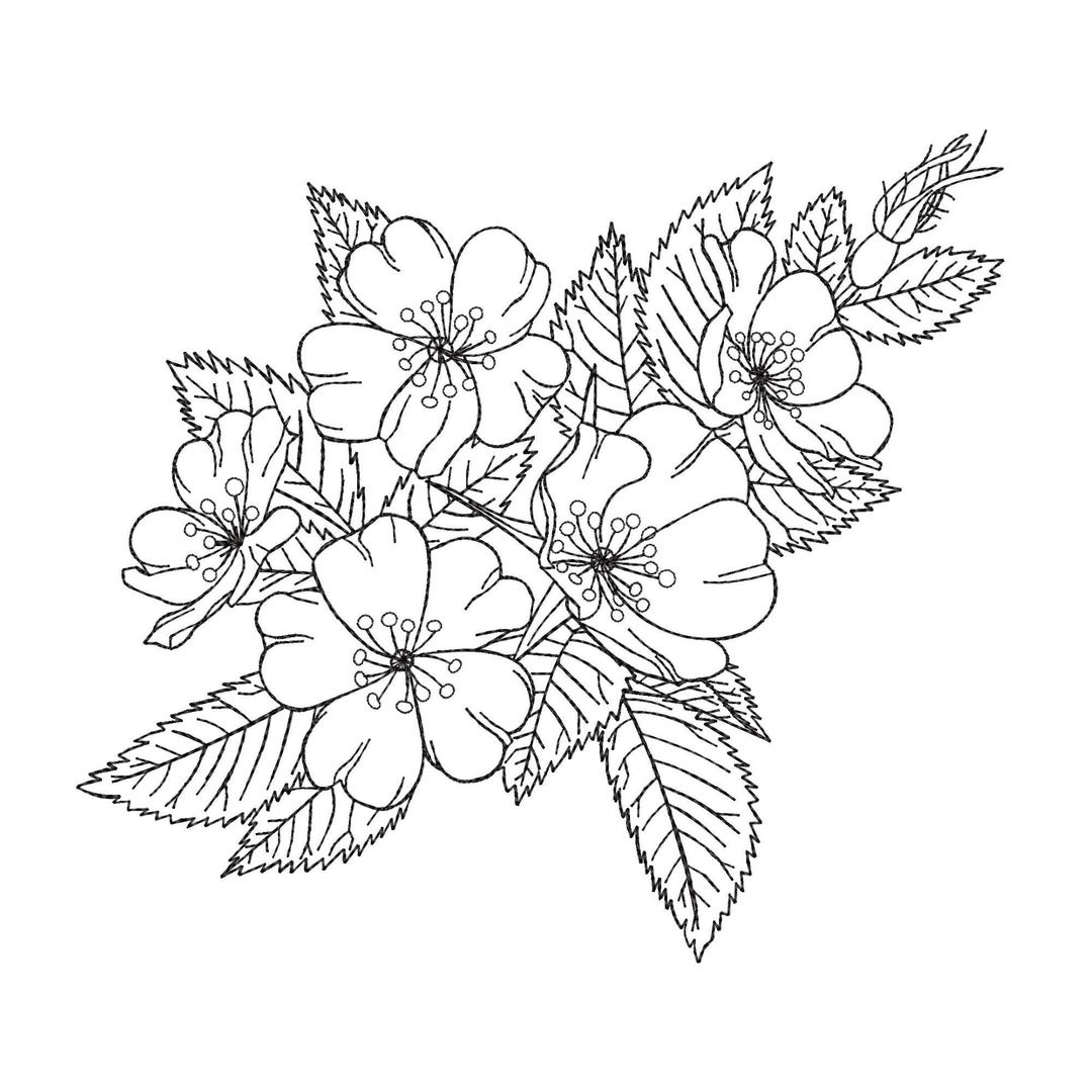 Wild Rose Sketch Embroidery Design: Floral Machine Pattern (instant ...
