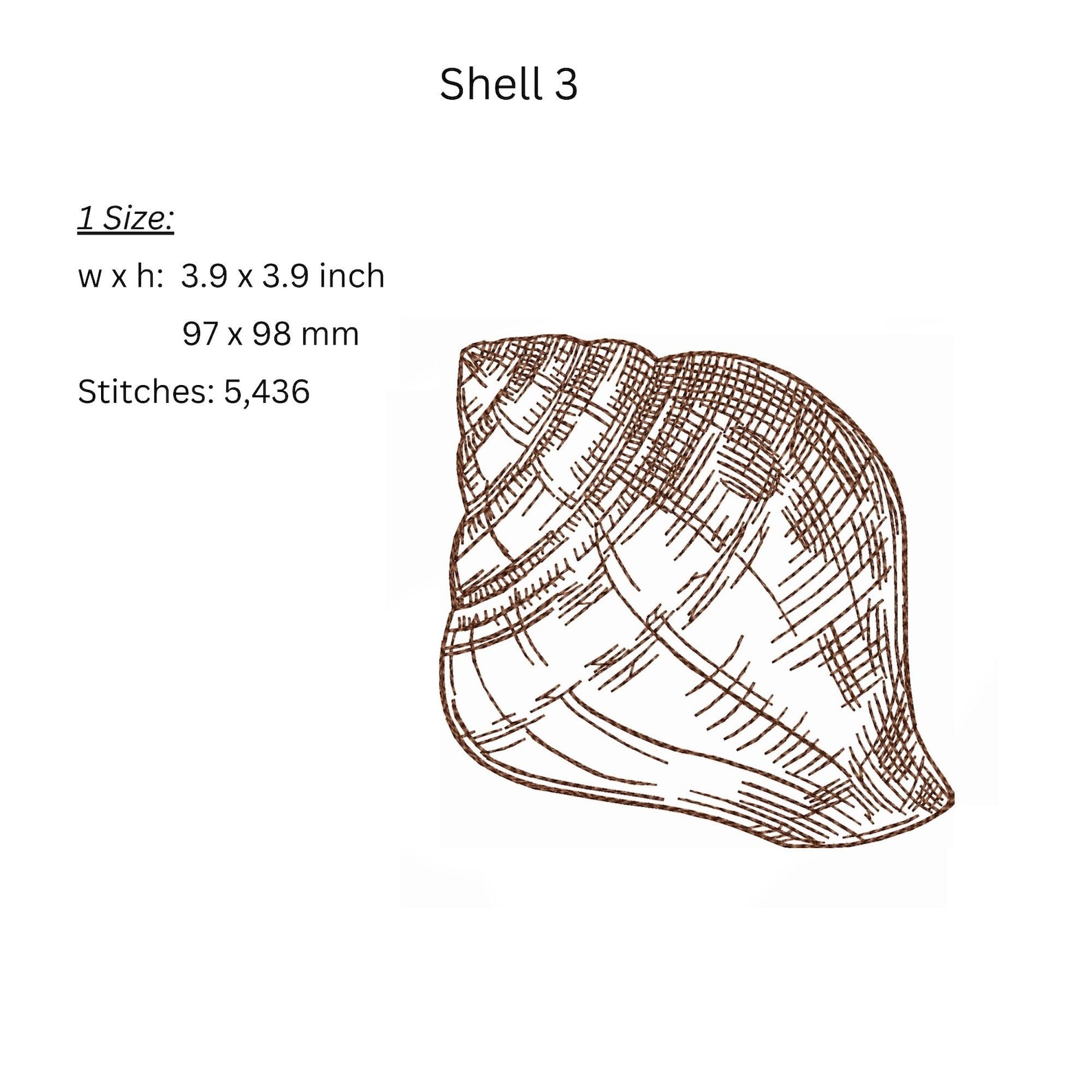 Sea Shells Embroidery Design: Sketch Collection (instant Download) - Etsy