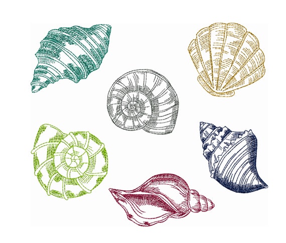 Shells Sketch Embroidery Sea Shells Sea Embroidery Machine - Etsy