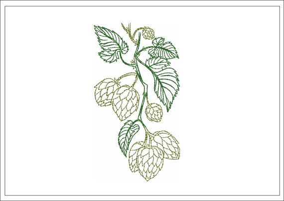 A Twig of Hops Embroidery Design Hops Embroidery File Hops - Etsy