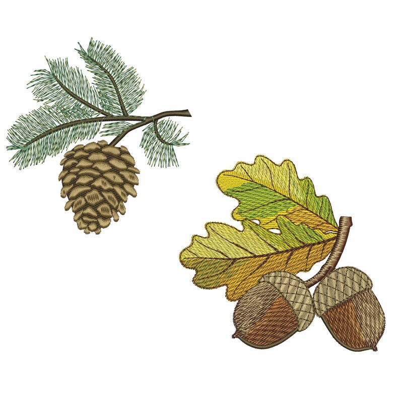 Acorn Embroidery - Etsy