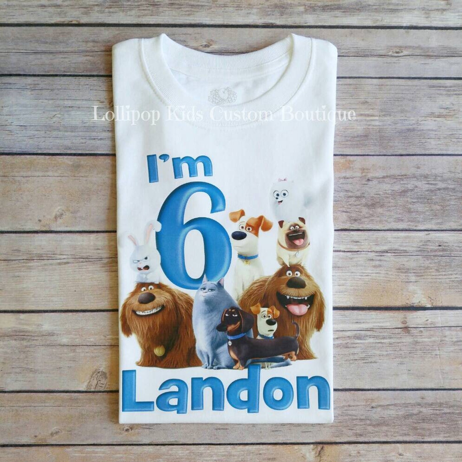 Secret Life of Pets...white Short Sleeve Birthday Shirt - Etsy