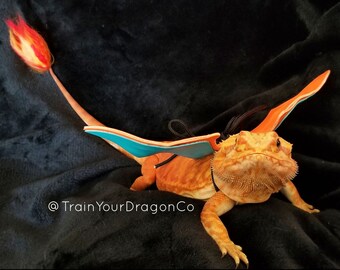 Bearded dragon wings | Etsy