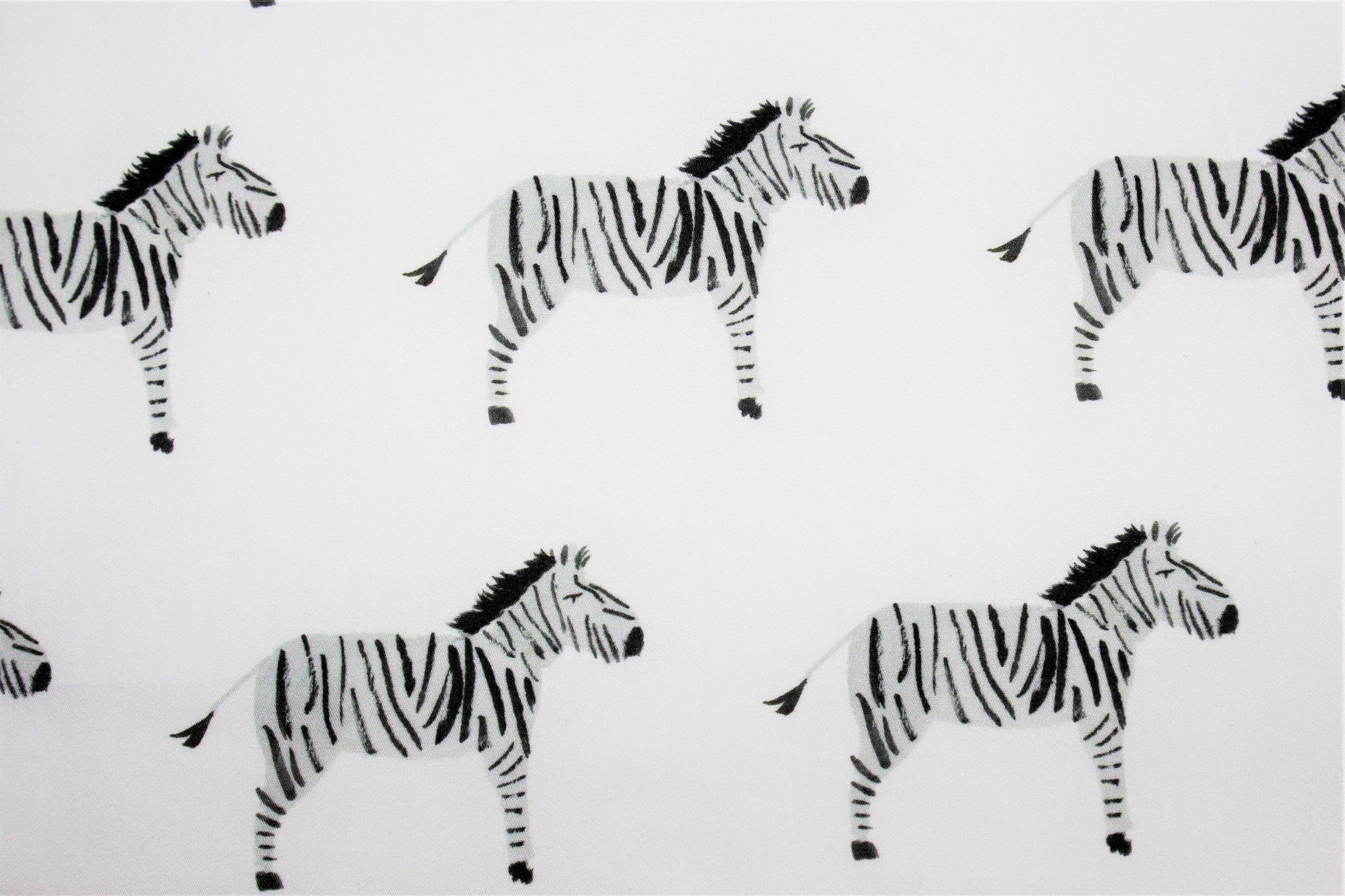 Zebra Painting Ikea