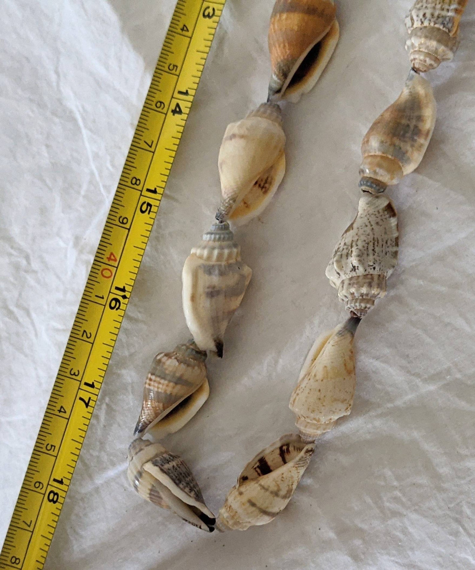 Shell Necklace Philippine Natural Souvenir | Etsy