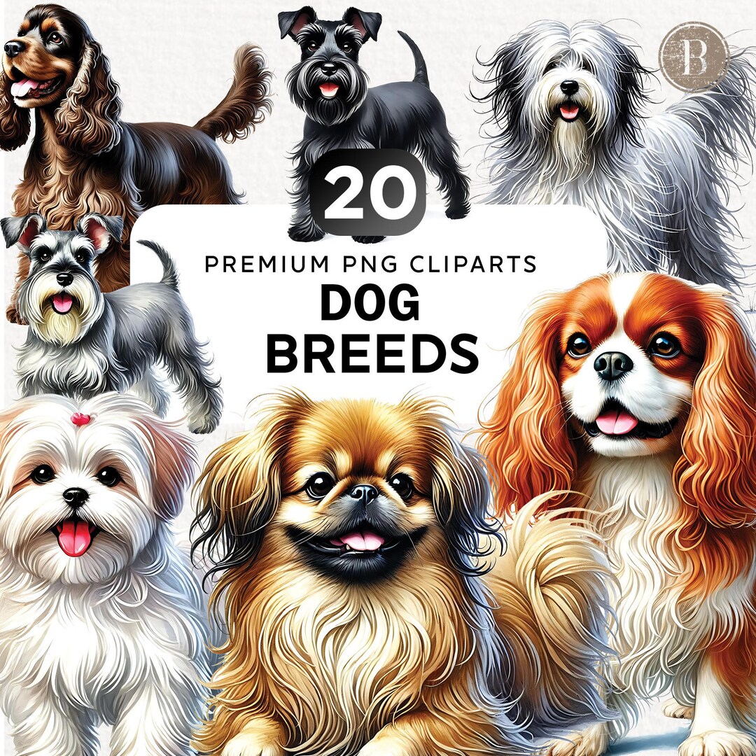 20 Dog Breeds Clipart Bundle, Cute Dogs Png, Dog Clipart, Cute Animals ...