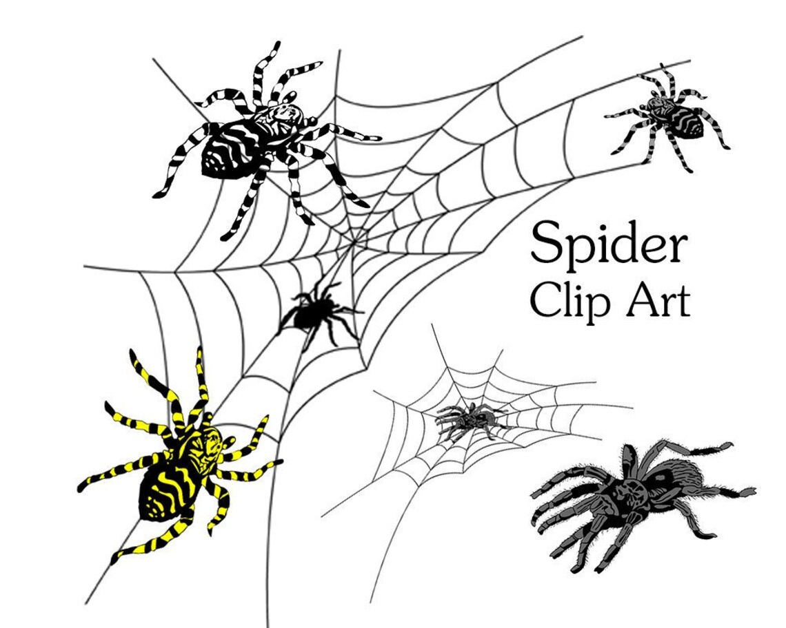 Halloween Spider Web Clip Art / Black Spider Clipart / Spiders - Etsy