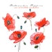 Poppy Clip Art Watercolor Poppies Veterans Day Clip Art Watercolor ...