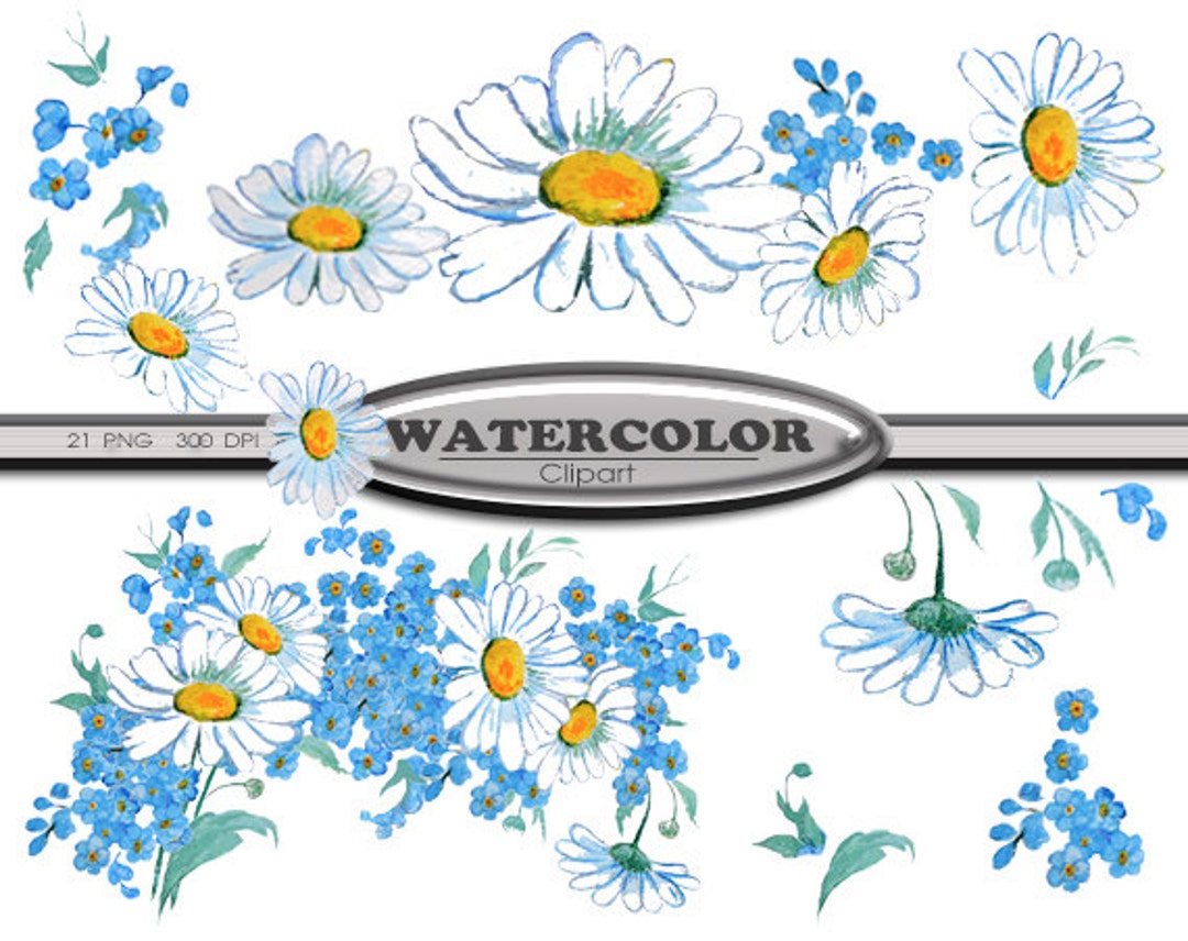 Daisy Clipart Watercolor Daisies & Forget-me-not Flowers Clip Art ...