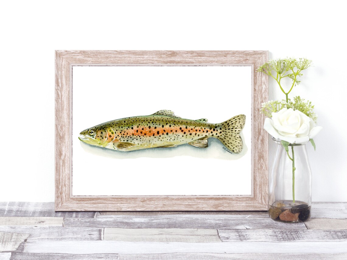Rainbow Trout Print Watercolor Painting Fly Fishing Artwork - Etsy